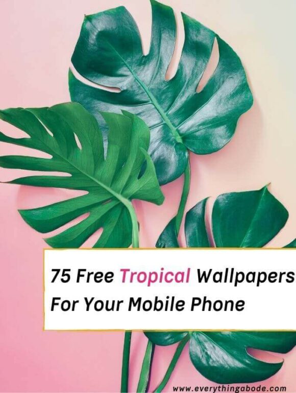 75 Tropical Wallpapers Free For Your Mobile Phone - Everything Abode