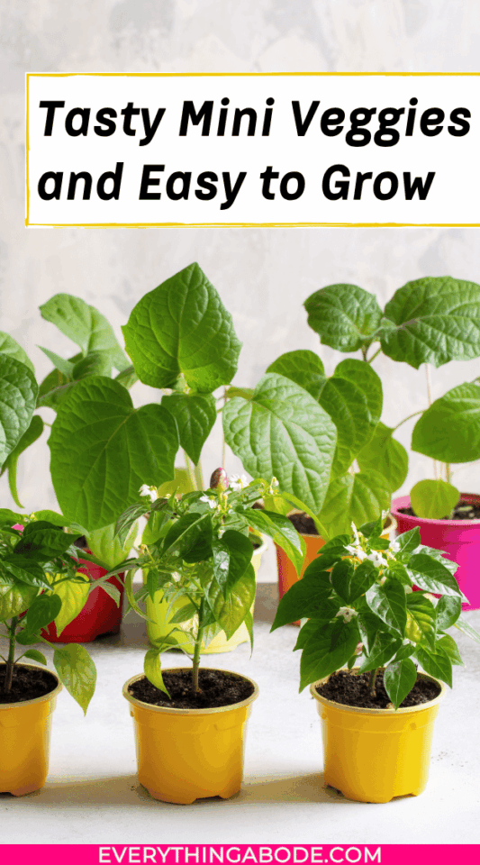 14 Cute Miniature Dwarf Vegetables & Fruit Plants For Tiny Gardens ...