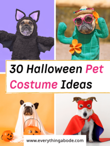 30 Halloween Pet Costume Ideas You Have to Make - Everything Abode