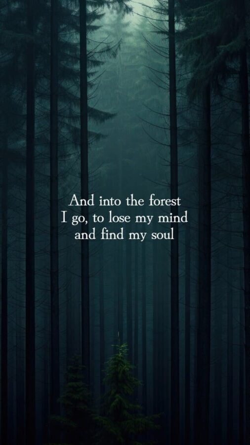 Stunning Dark Aesthetic Wallpapers - Everything Abode